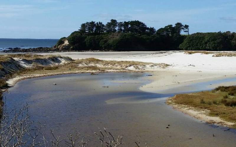 Rarawa Beach Camping Area | Freedom/Basic Camp | New Zealand